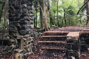 50 Fun Things To Do In Rock Hill, SC That You Don’t Want To Miss - Rock Hill Insider