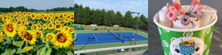 50 Fun Things To Do In Rock Hill, SC That You Don’t Want To Miss - Rock Hill Insider