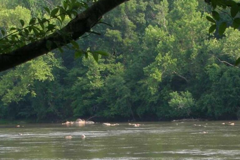 Top 10 Must-Visit Parks In Rock Hill, SC - Rock Hill Insider